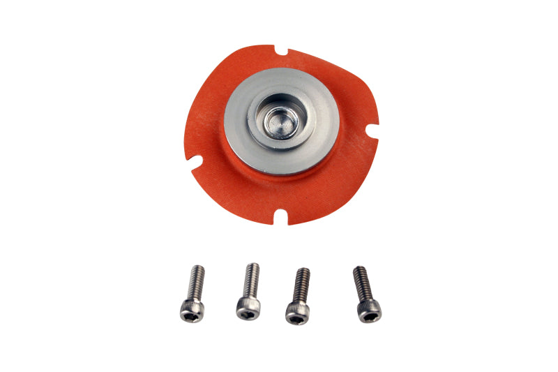 Aeromotive Regulator Repair Kit (for 13202/13113/13209/13214/13212 ...