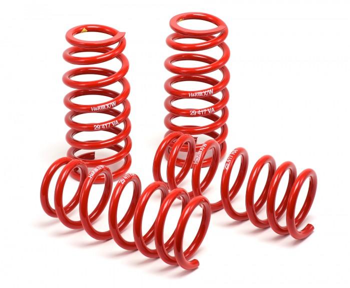 H&R 99-04 Ford Mustang Cobra V8 Race Spring – Warranty Killer Performance